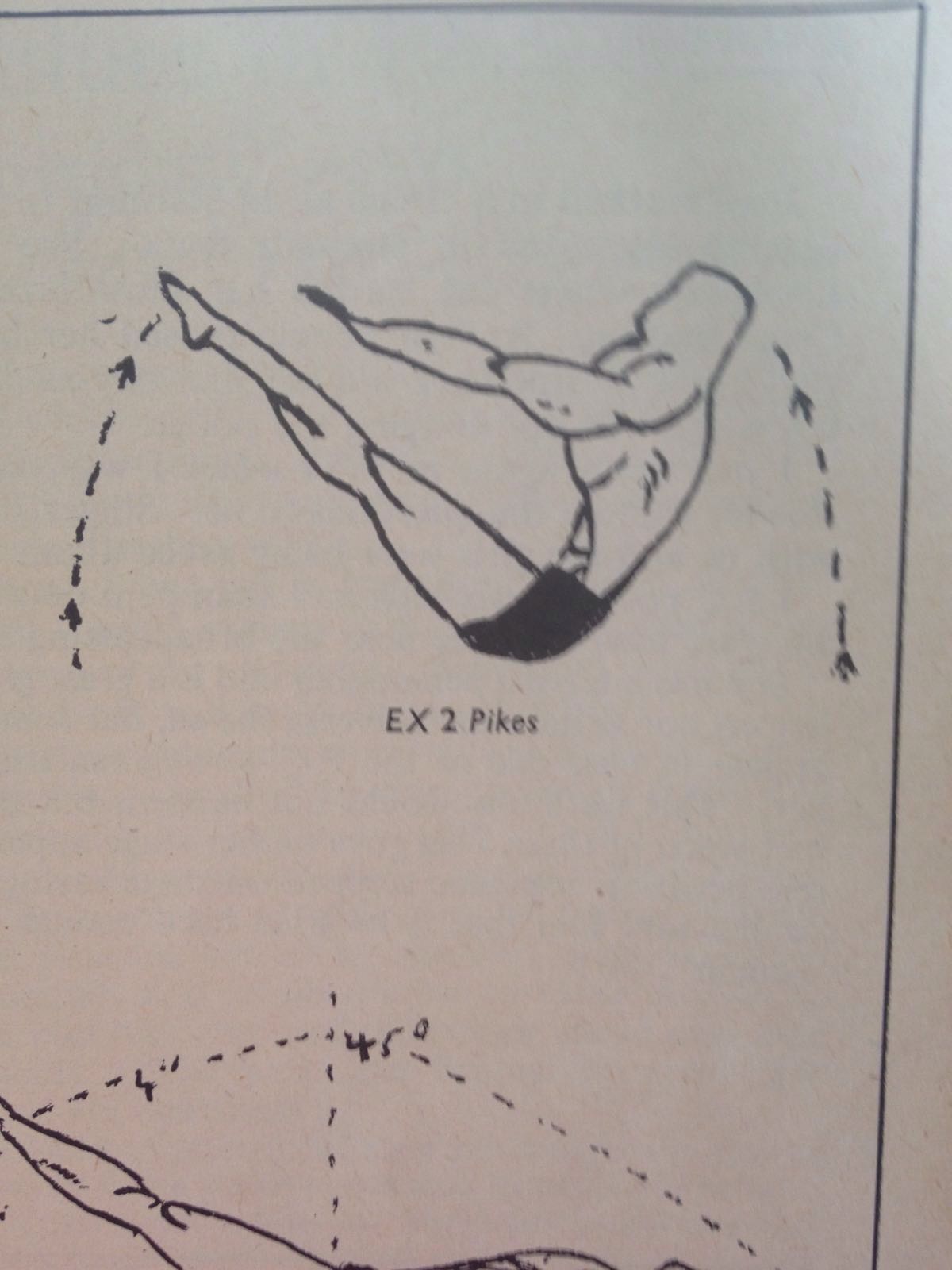 It takes guts to chisel out the Abdominals – Physical Culture Study