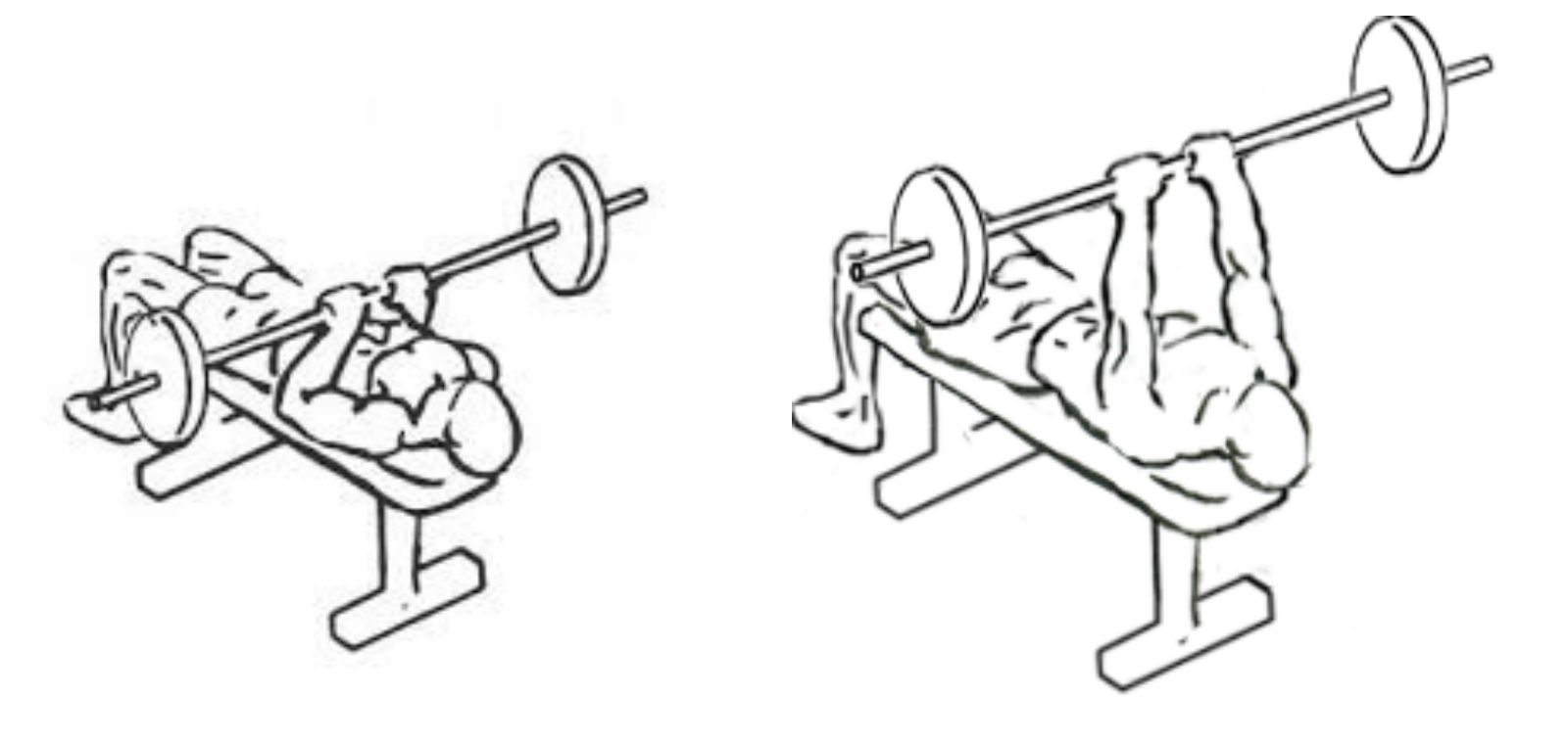 Forgotten Exercises: The JM Press – Physical Culture Study