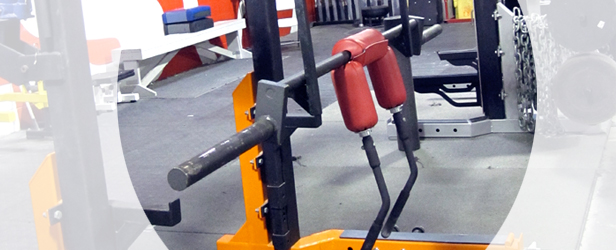 The History of the Cambered Bar - Physical Culture Study