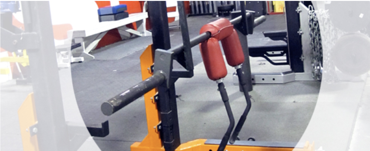 The History of the Cambered Bar - Physical Culture Study